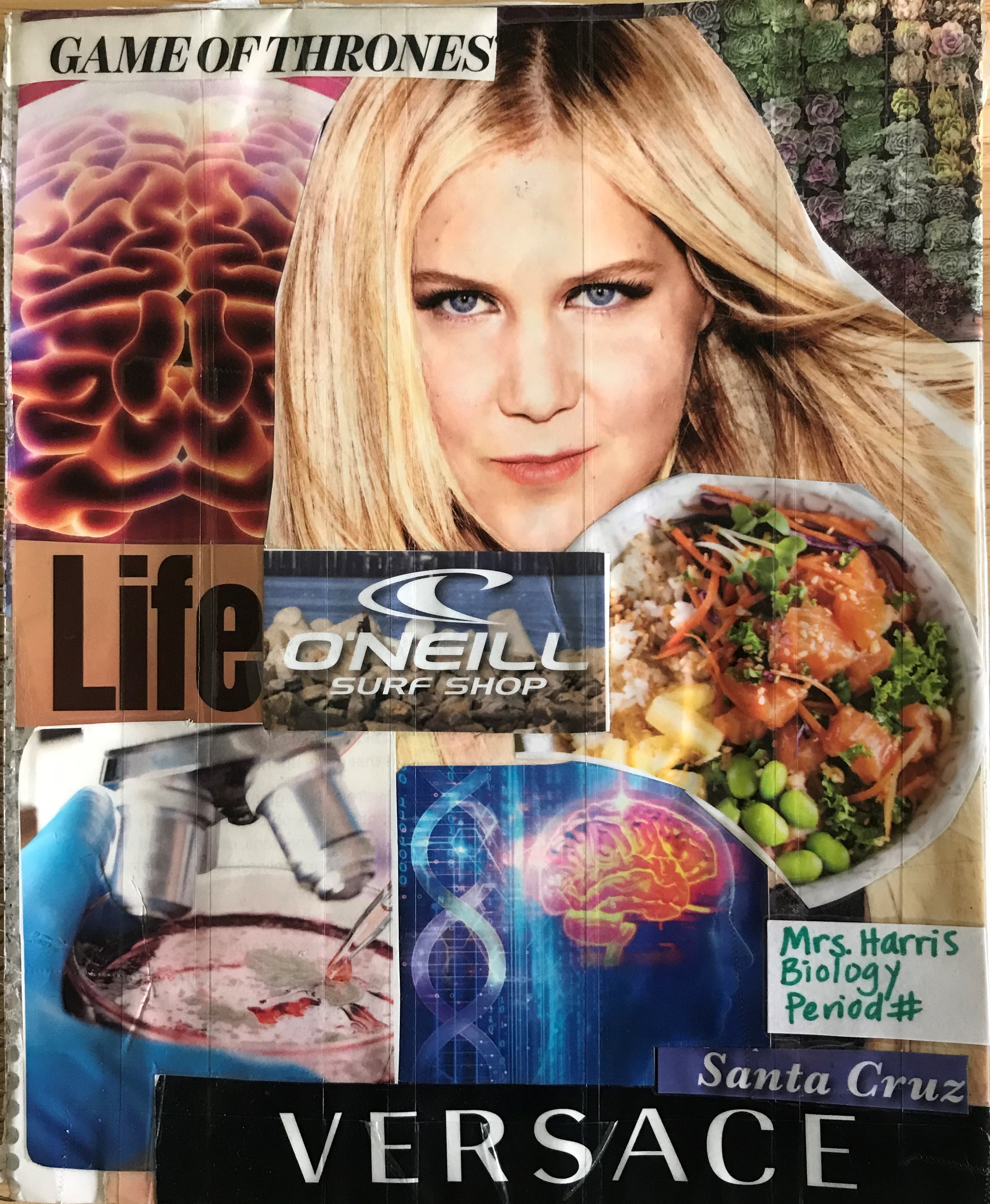 Beginning of Year Activity: Decorating Science Notebook Covers – How ...