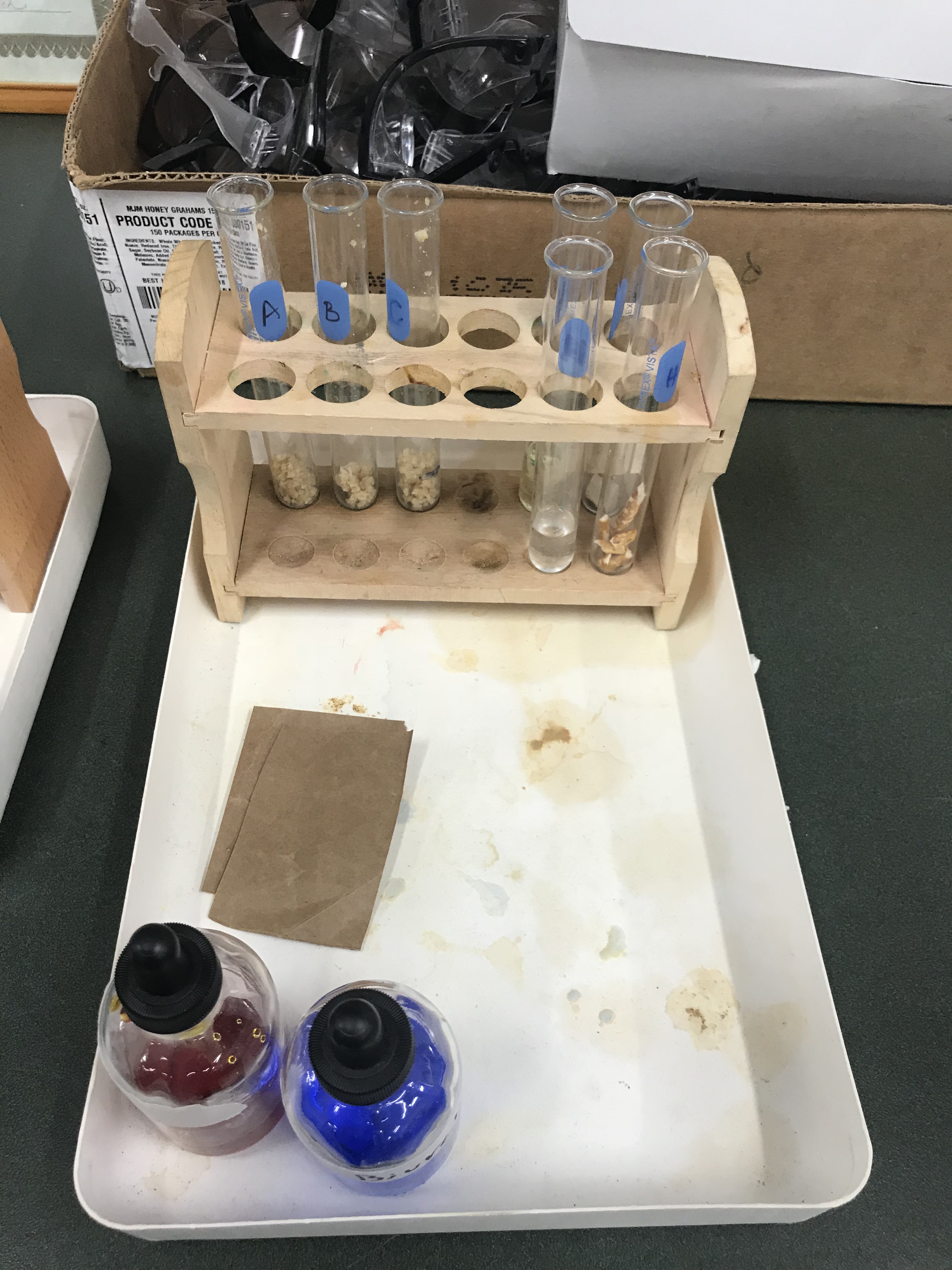 lab-macromolecules-murder-in-meal-set-up-19-20-2 – How She Teaches