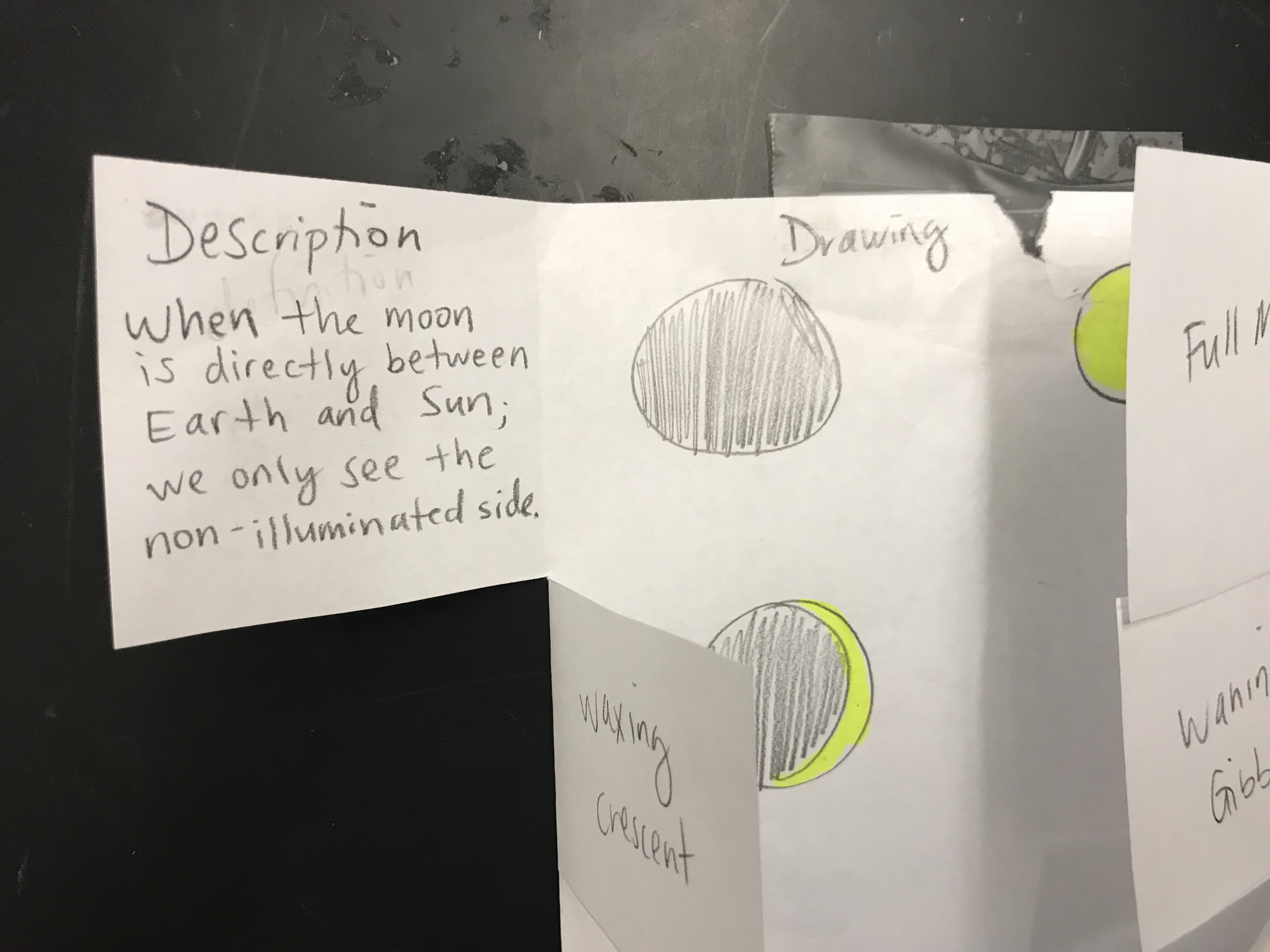 copy-of-moon-phases-foldable_description – How She Teaches