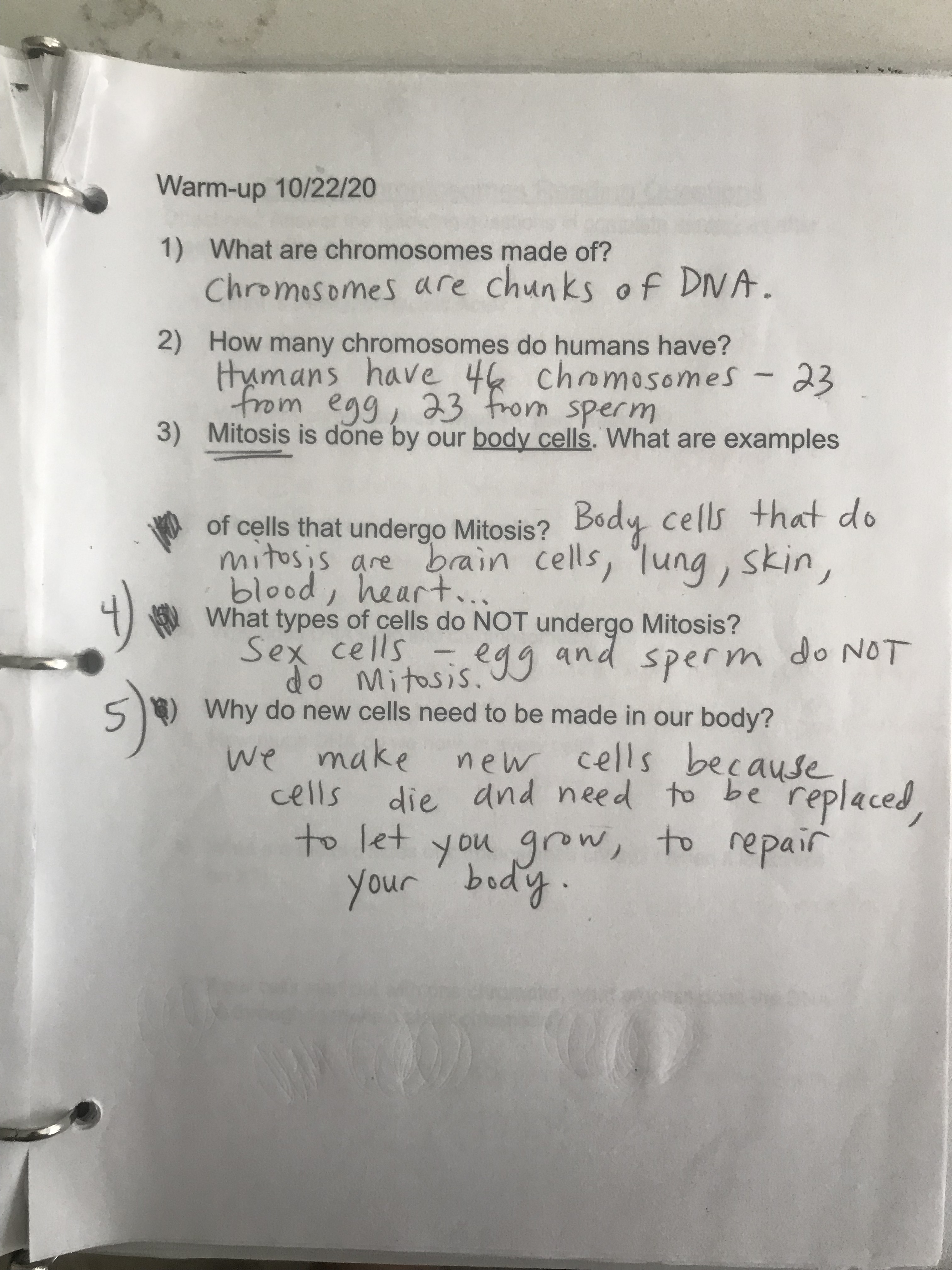 My Go-To Lesson Structure and 8 Classroom Routines for Better Classroom ...