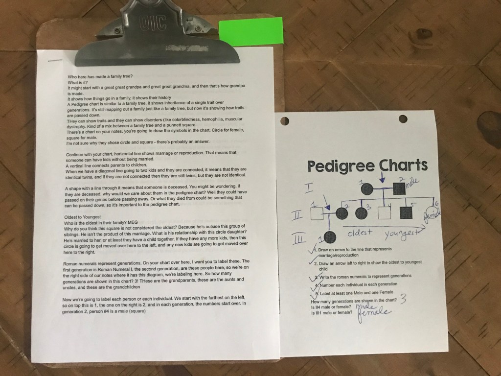 Lab Safety Teacher Script – How She Teaches