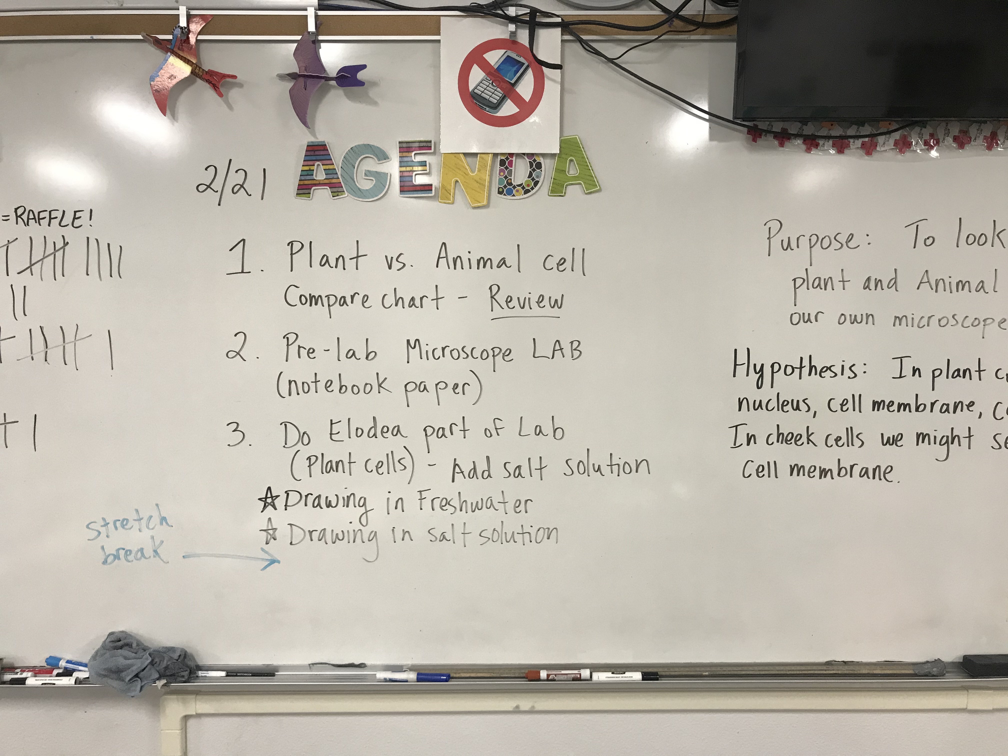 My Go-To Lesson Structure and 8 Classroom Routines for Better Classroom ...