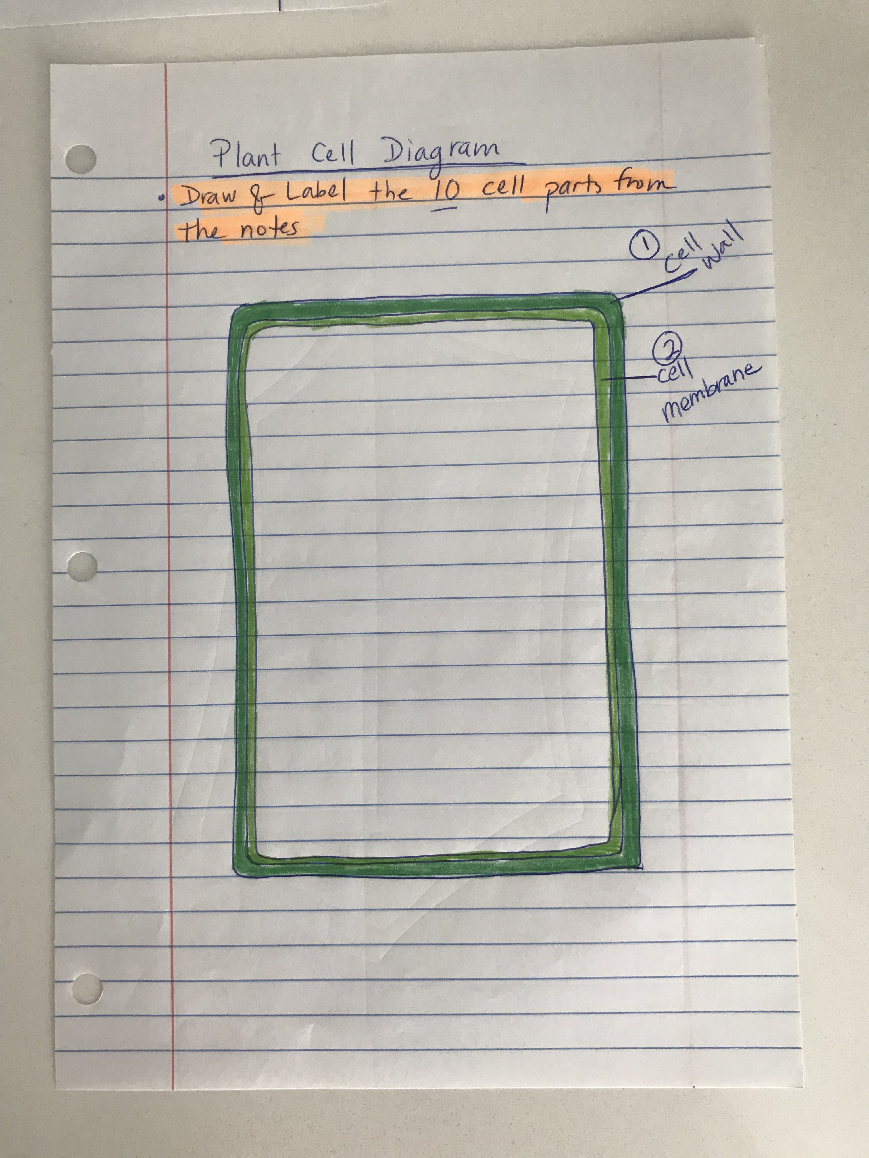 5 Ways to Take Notes Without a Worksheet – How She Teaches