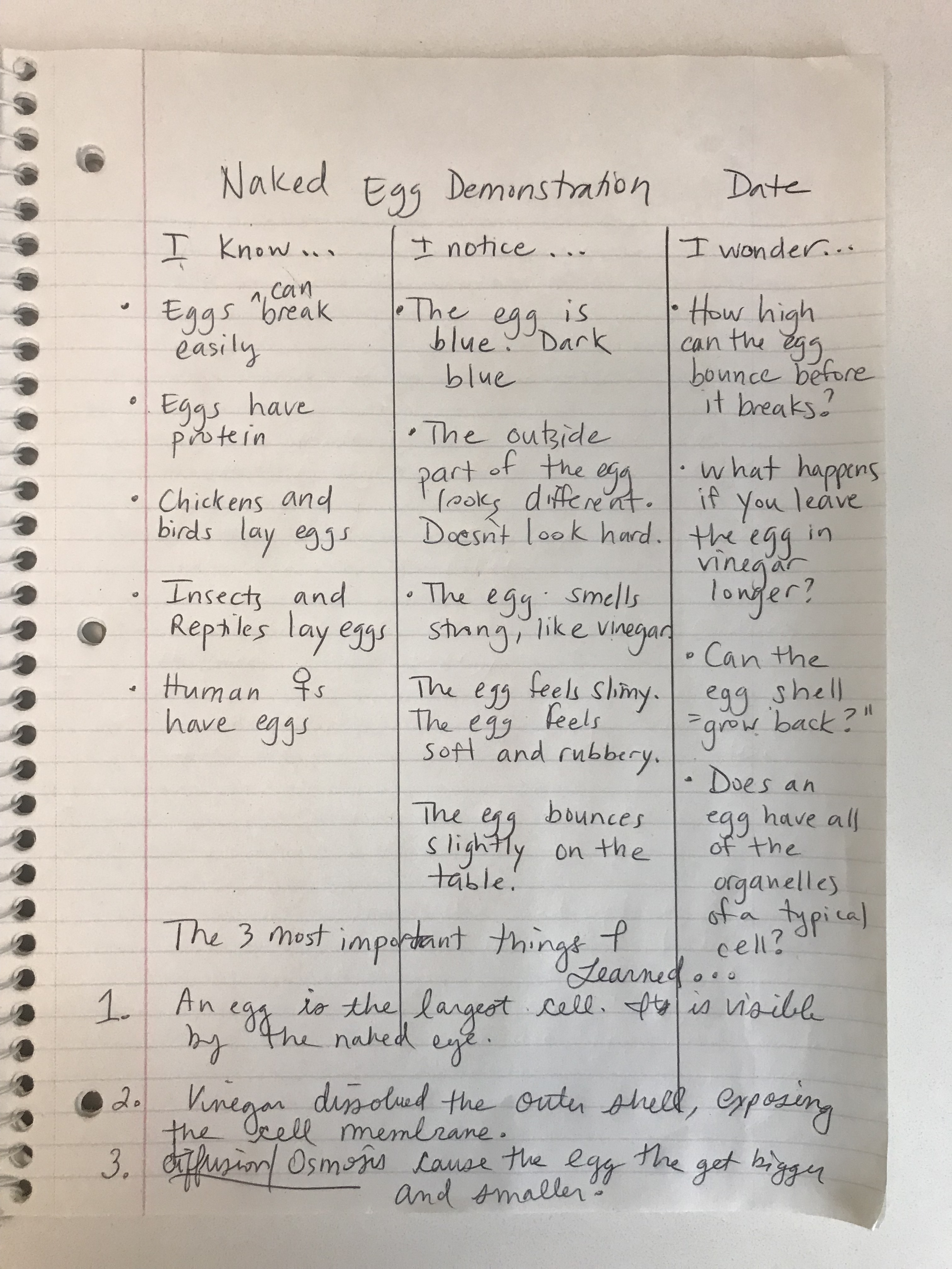 5 Ways to Take Notes Without a Worksheet – How She Teaches