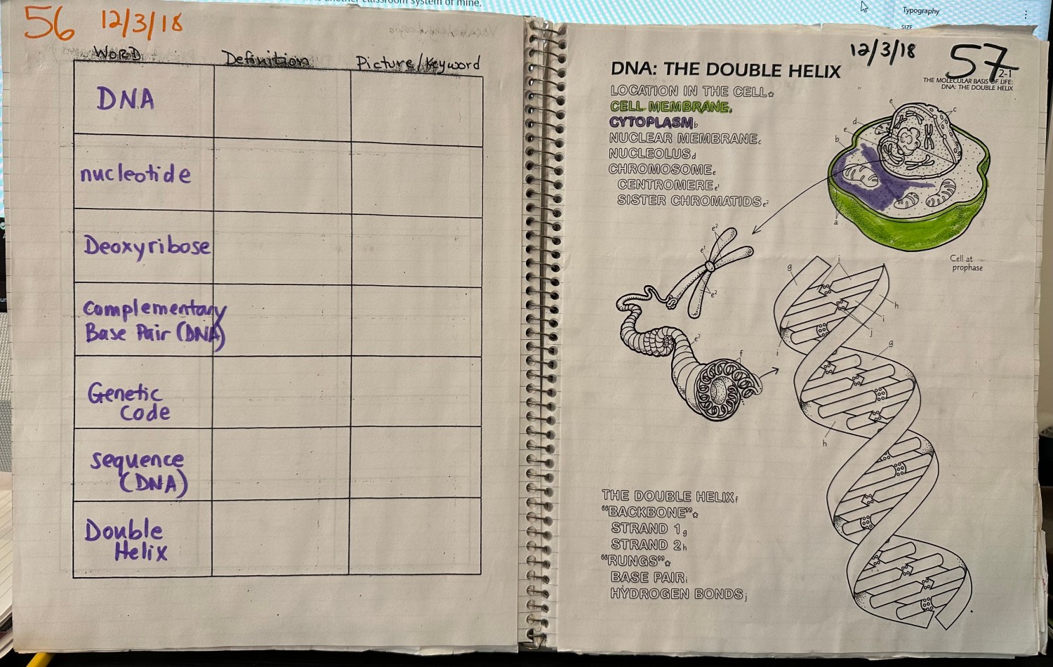 How to Set-up a Science Notebook – How She Teaches