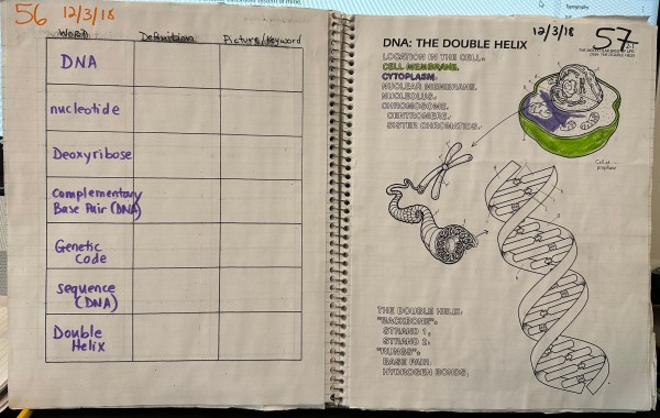 How to Set-up a Science Notebook – How She Teaches