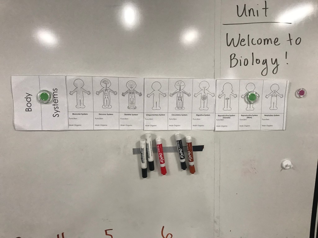 Class Points: Transforming Classroom Management with Positive ...